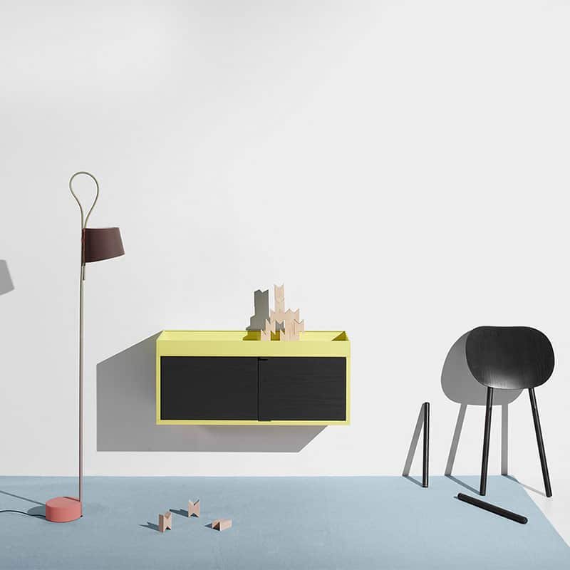 The Conocarpus Tree: A Comprehensive Guide to This Versatile Plant